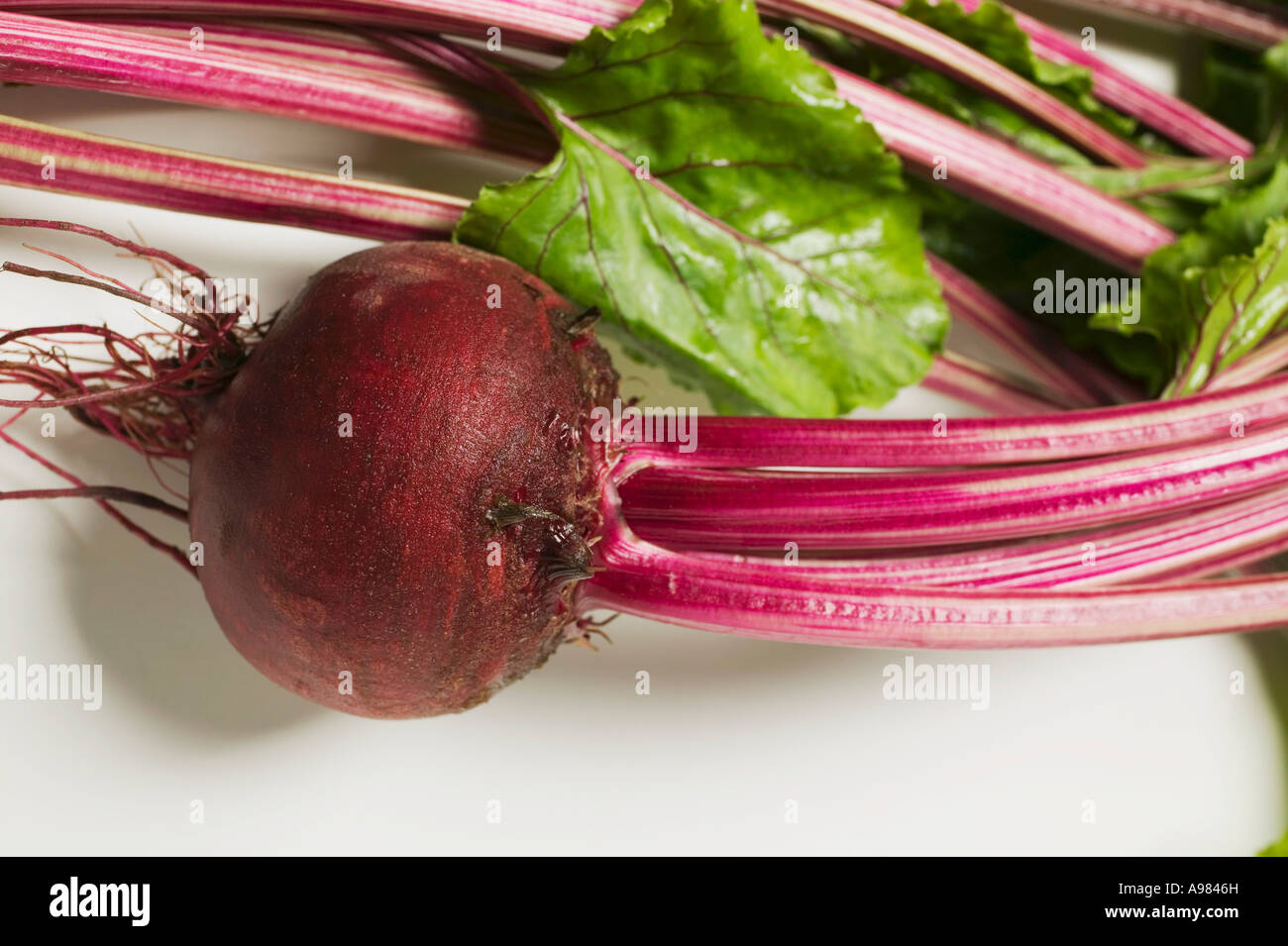 Beetroot with leaves FoodCollection Stock Photo - Alamy