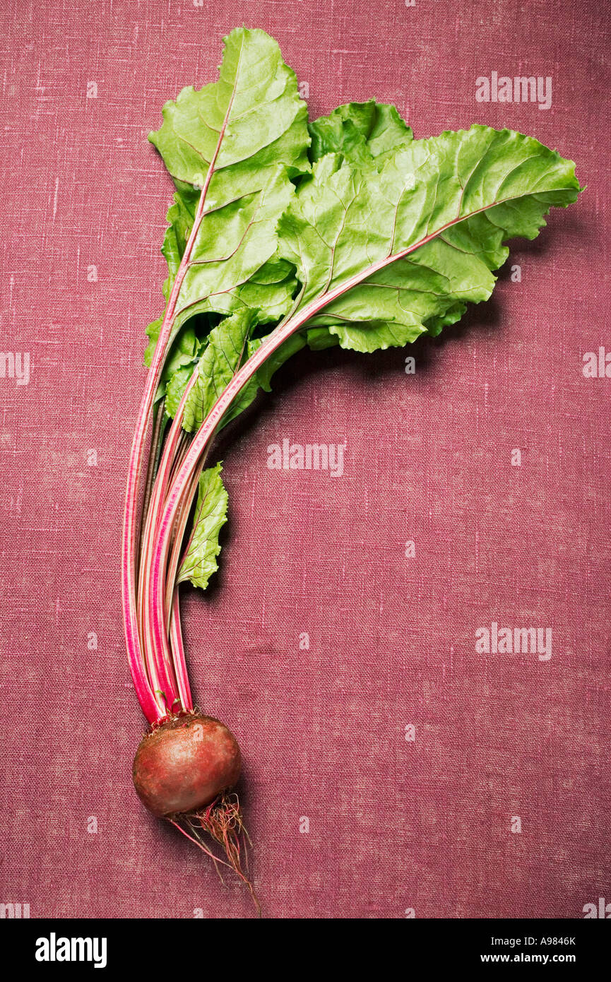 Beetroot with leaves FoodCollection Stock Photo - Alamy