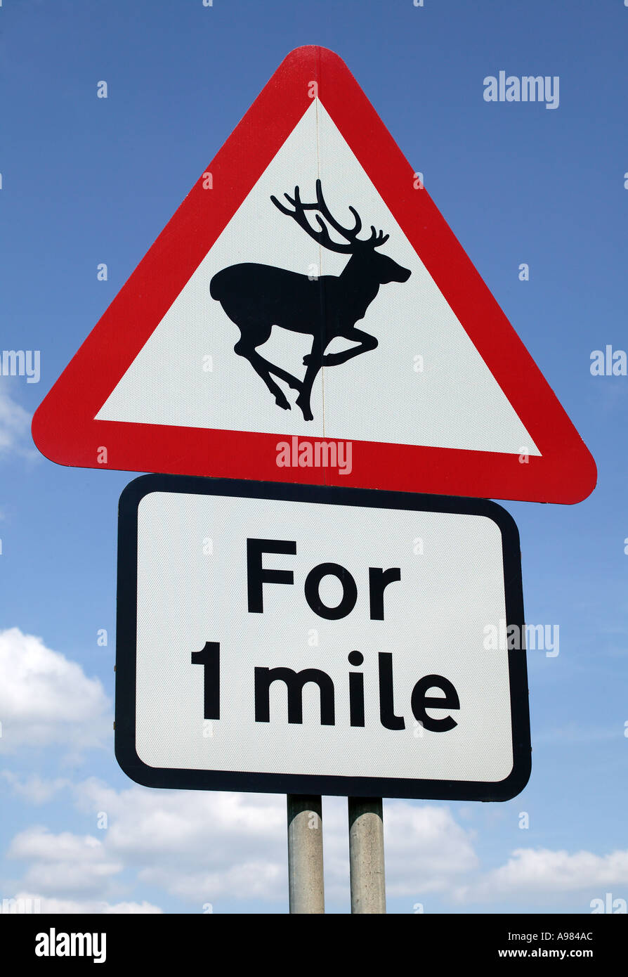 WILD ANIMAL WARNING ROAD TRAFFIC SIGN ENGLAND Stock Photo - Alamy