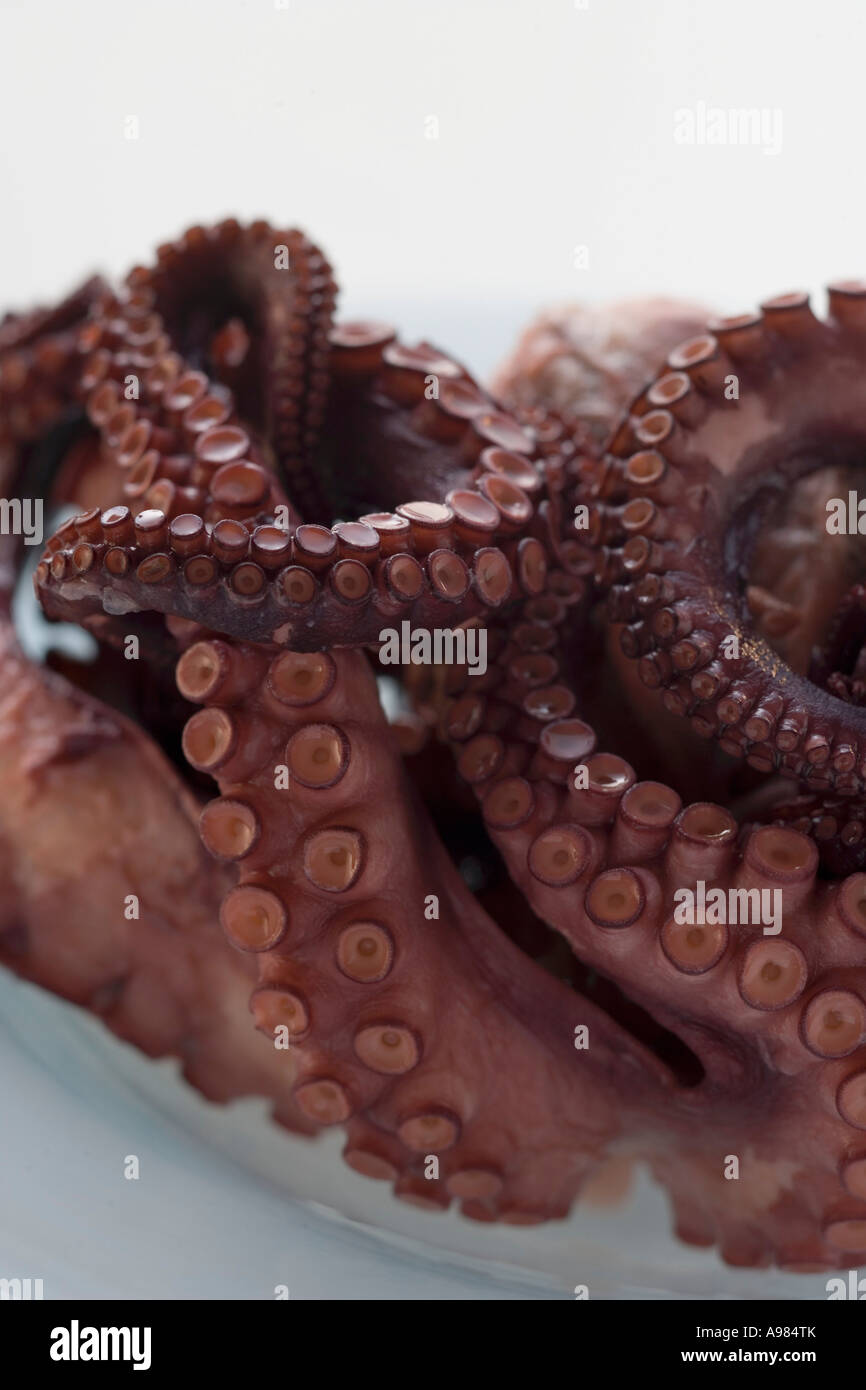 Smoked octopus FoodCollection Stock Photo - Alamy