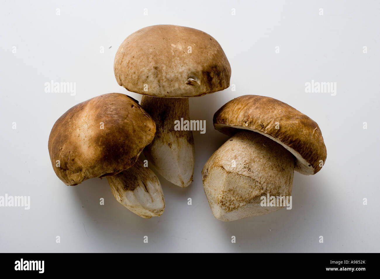 Three ceps FoodCollection Stock Photo - Alamy