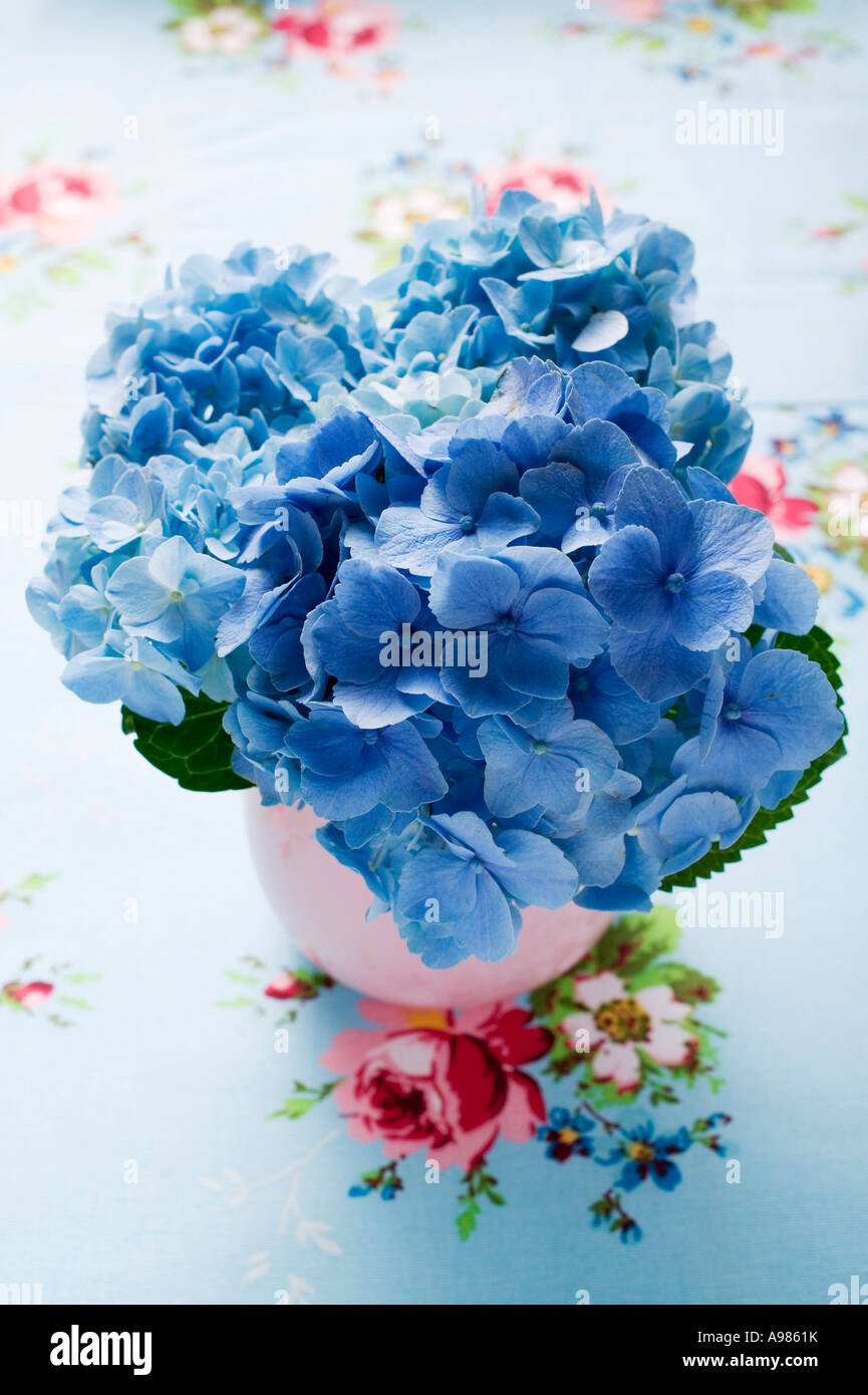 Blue hydrangeas in vase FoodCollection Stock Photo - Alamy