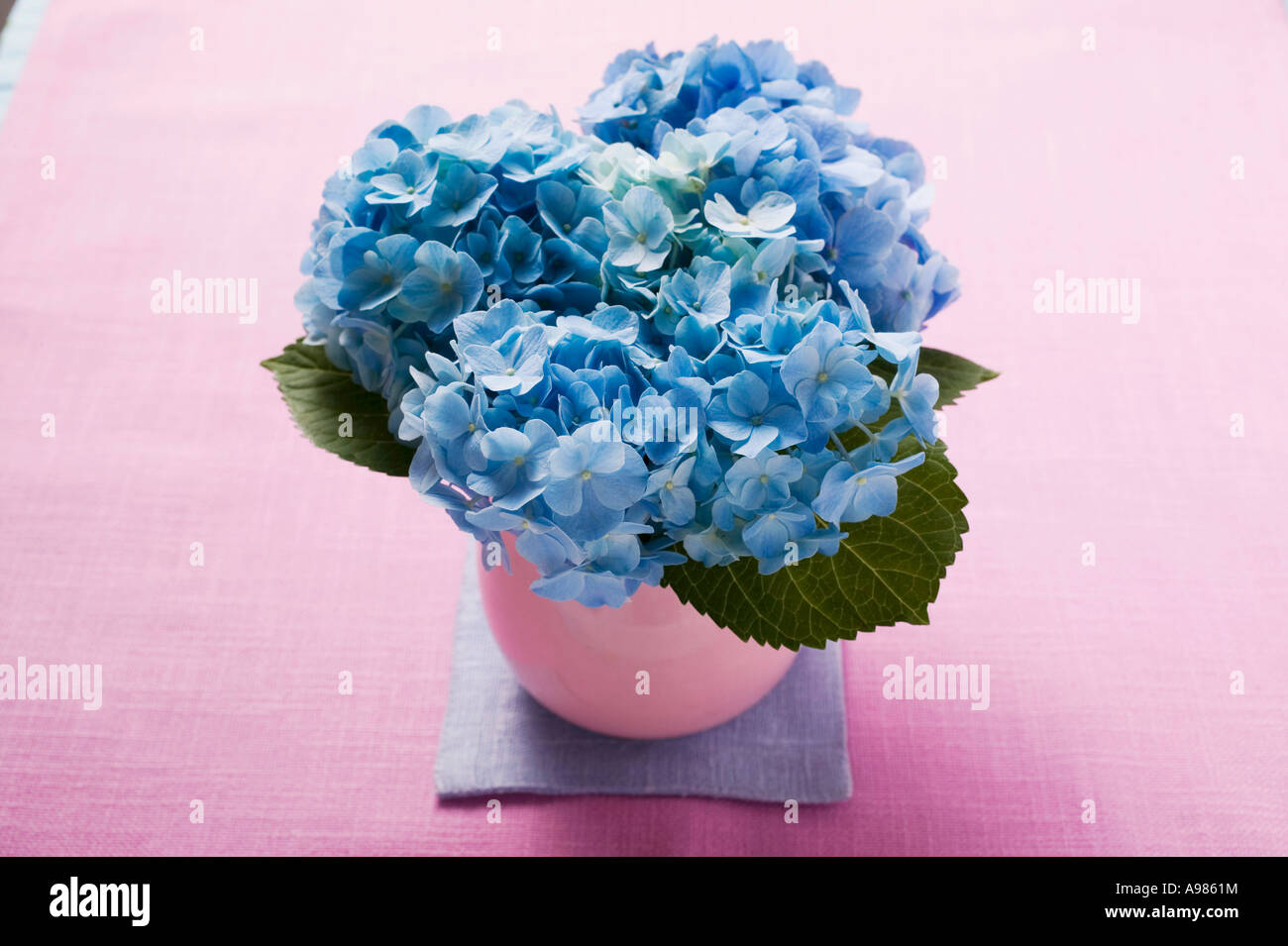 Blue hydrangeas in vase FoodCollection Stock Photo - Alamy