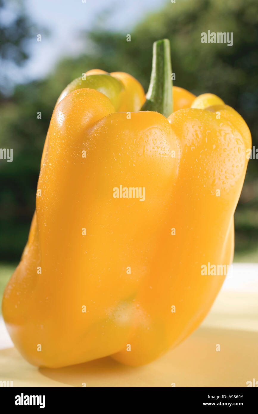 Yellow pepper on table in open air FoodCollection Stock Photo - Alamy
