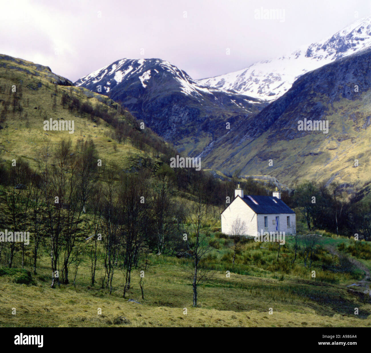 Loan house on Scottish hillside Stock Photo - Alamy