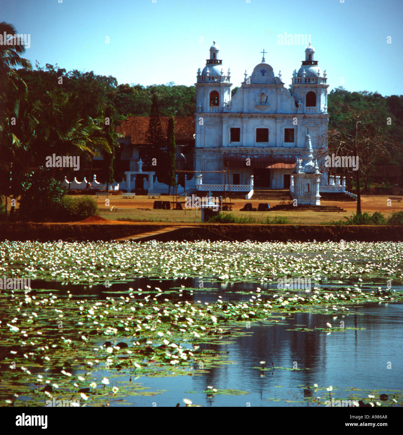 Lily lake in India Stock Photo - Alamy