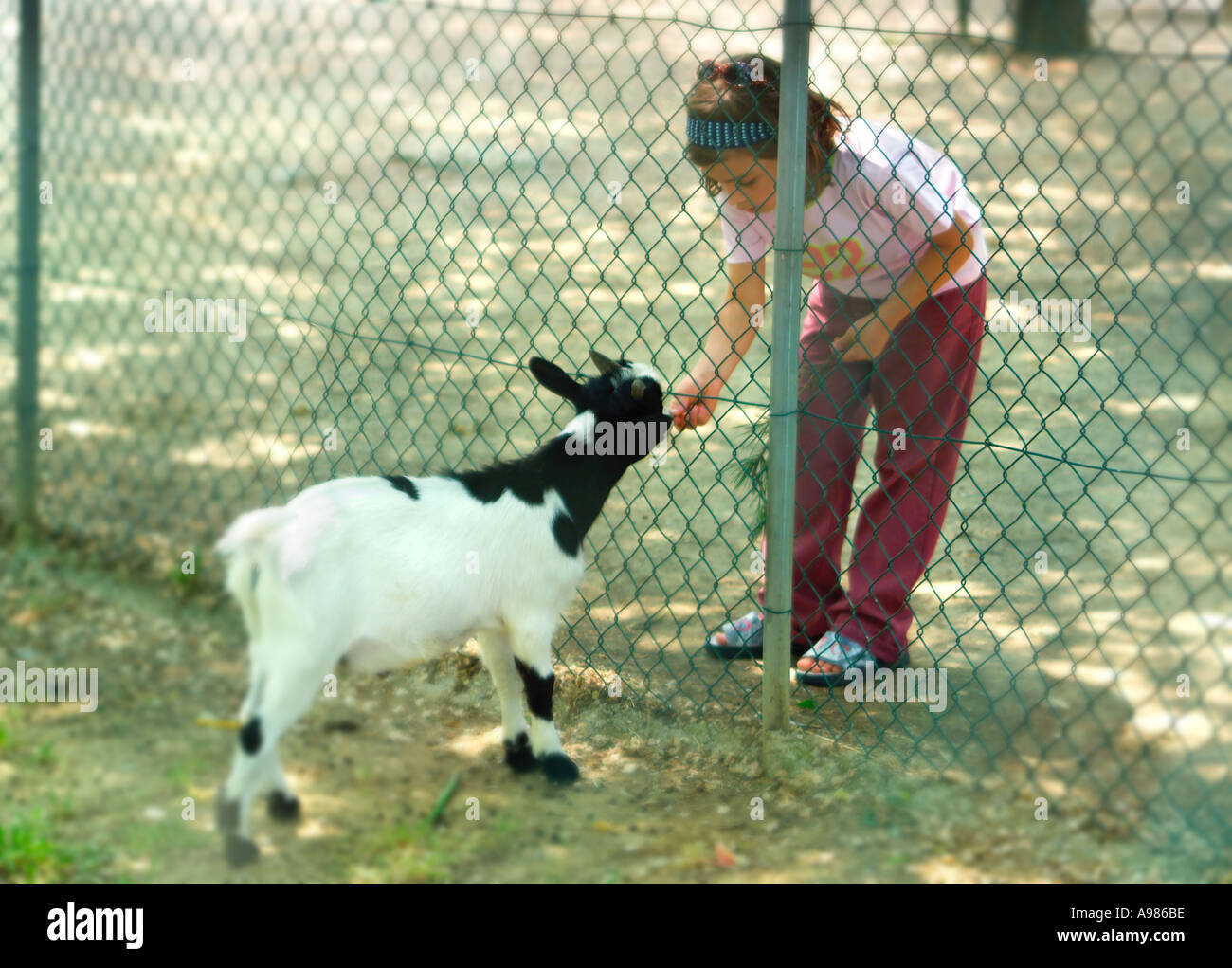 child and goat Stock Photo - Alamy