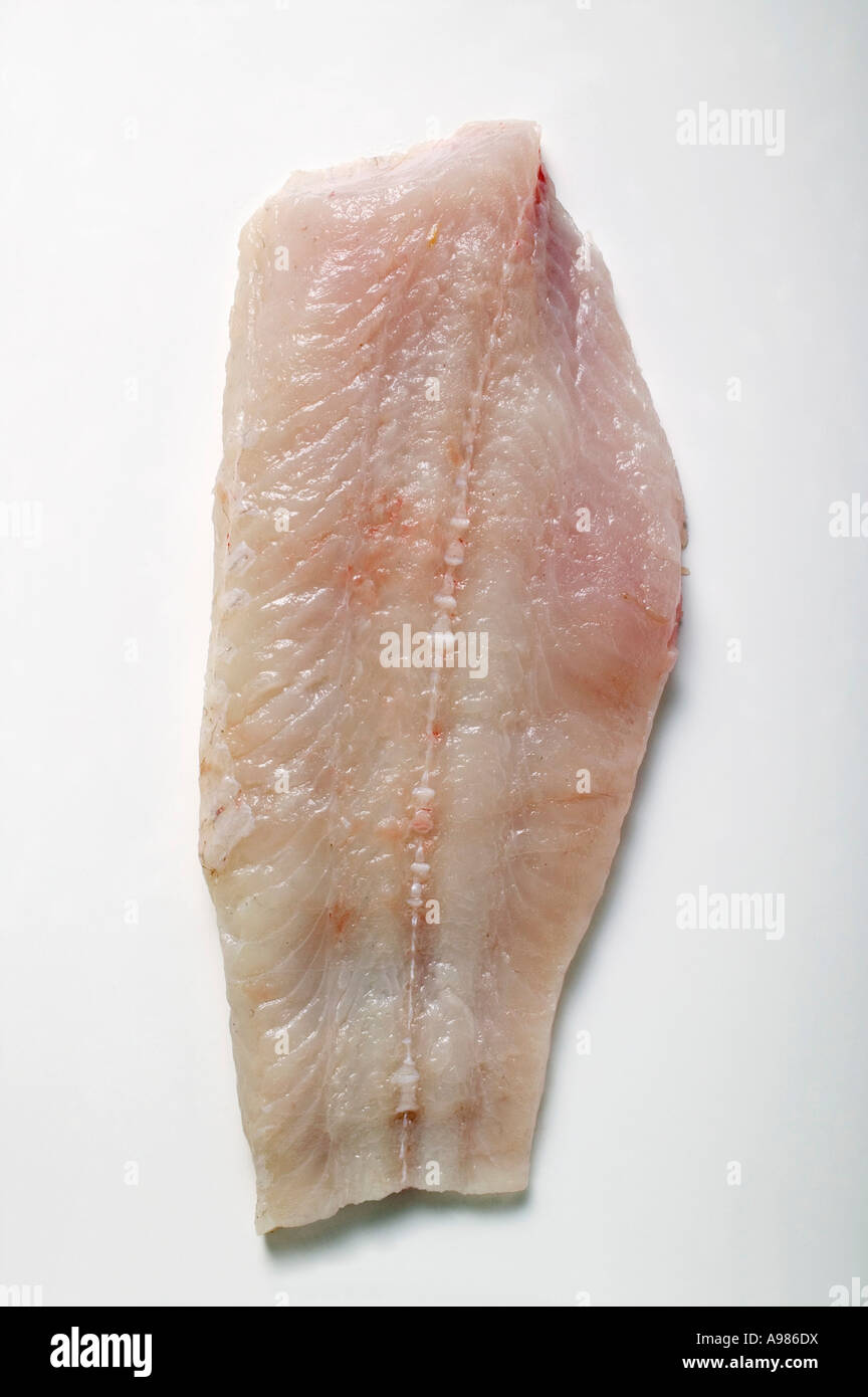 Redfish fillet FoodCollection Stock Photo - Alamy