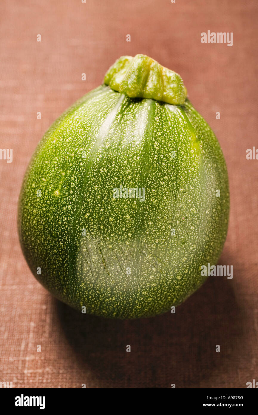 Rondini round courgette FoodCollection Stock Photo - Alamy