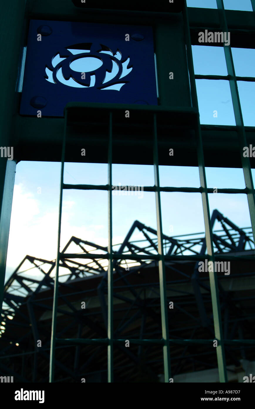 Scottish thistle logo hi-res stock photography and images - Alamy