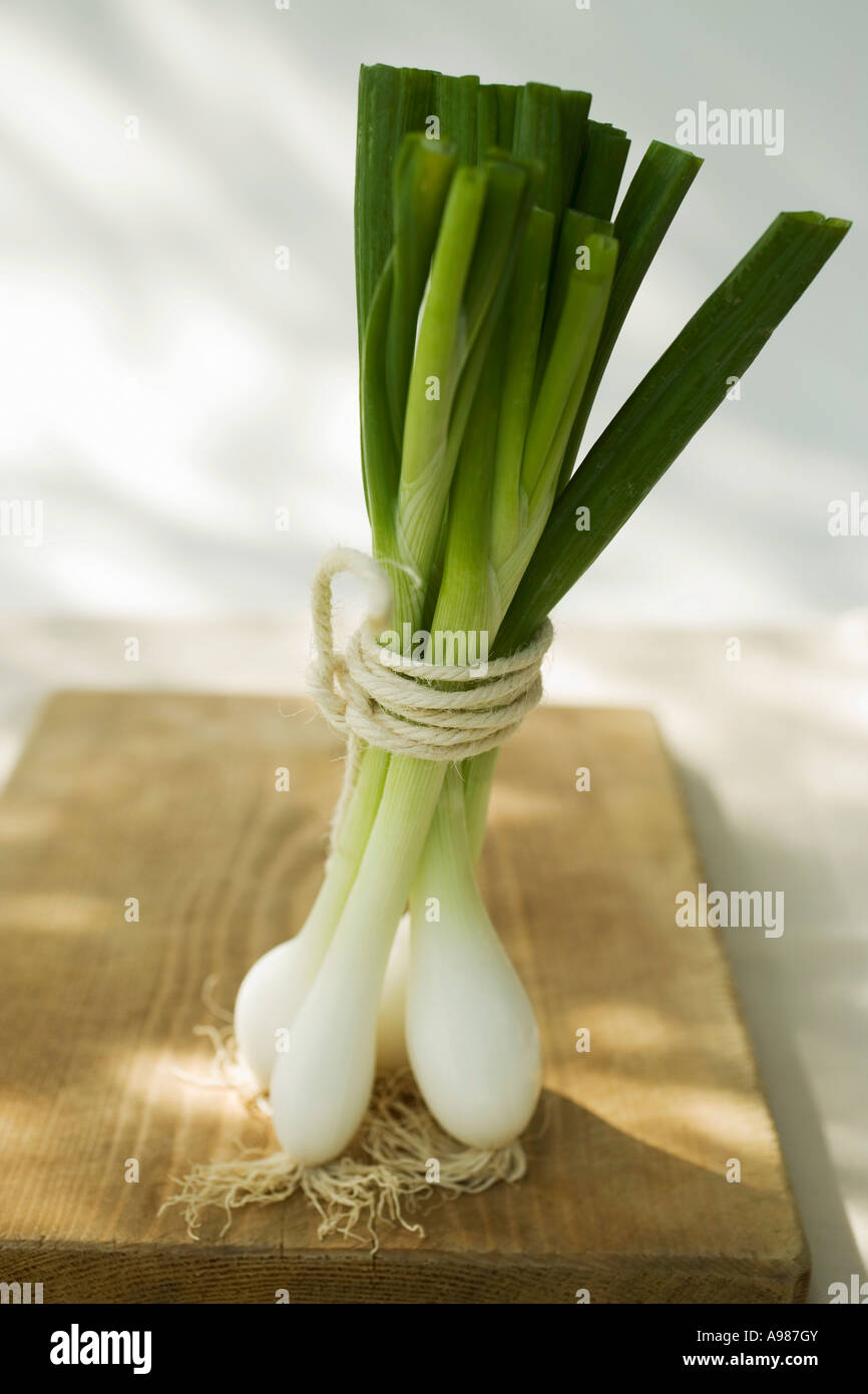 A bunch of spring onions FoodCollection Stock Photo - Alamy