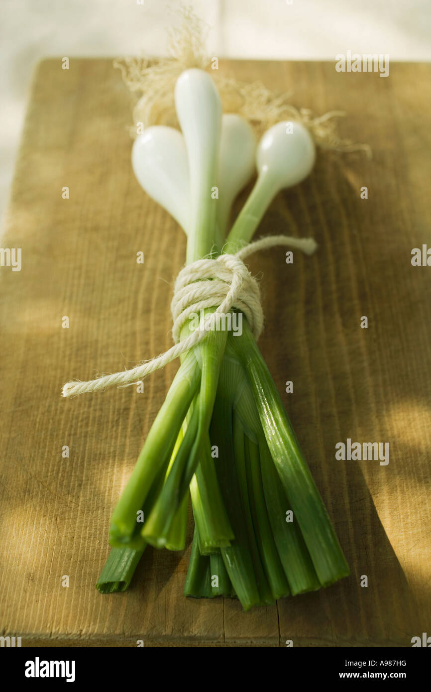 A bunch of spring onions on chopping board FoodCollection Stock Photo ...