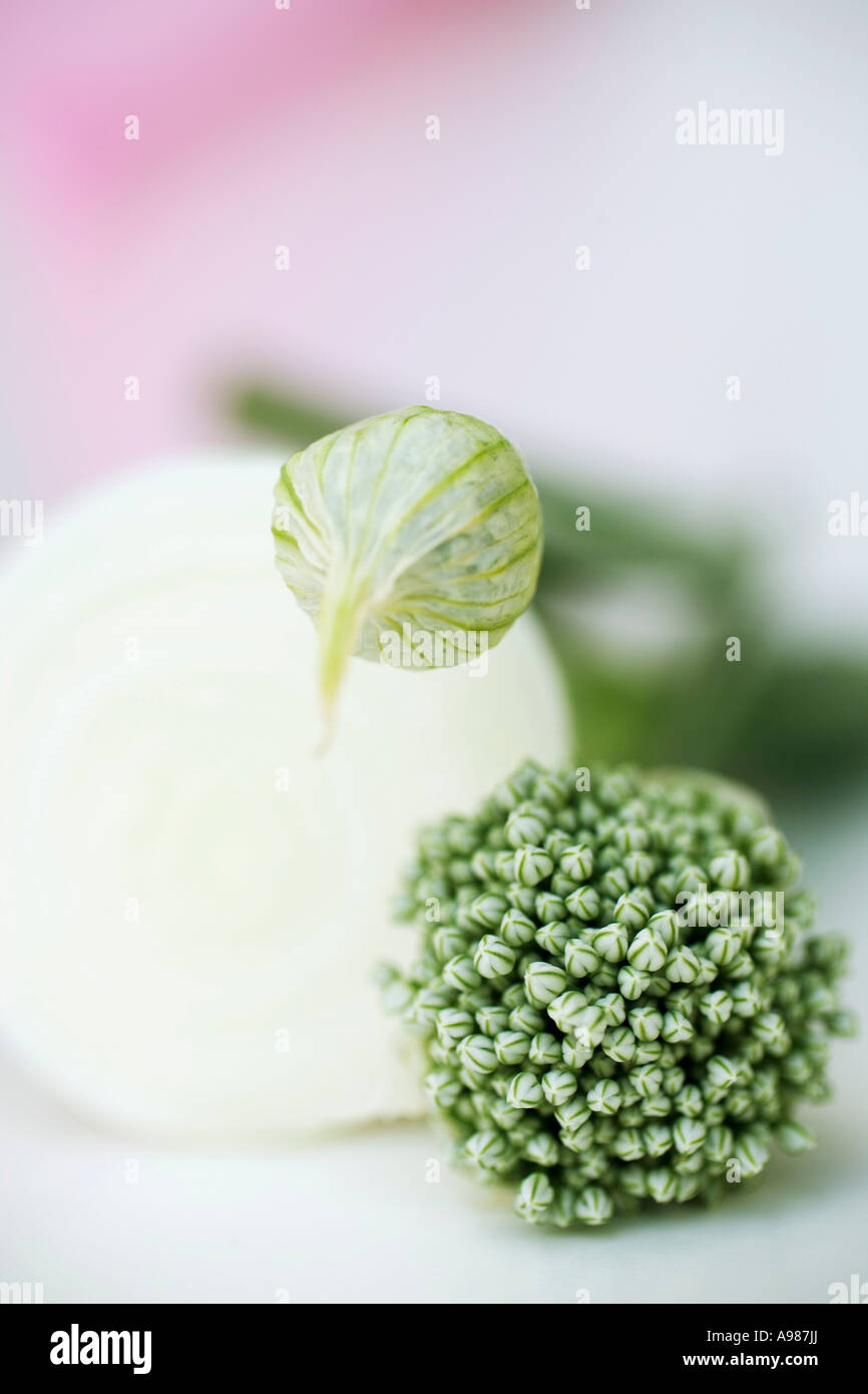 Garlic chives and spring onion FoodCollection Stock Photo - Alamy