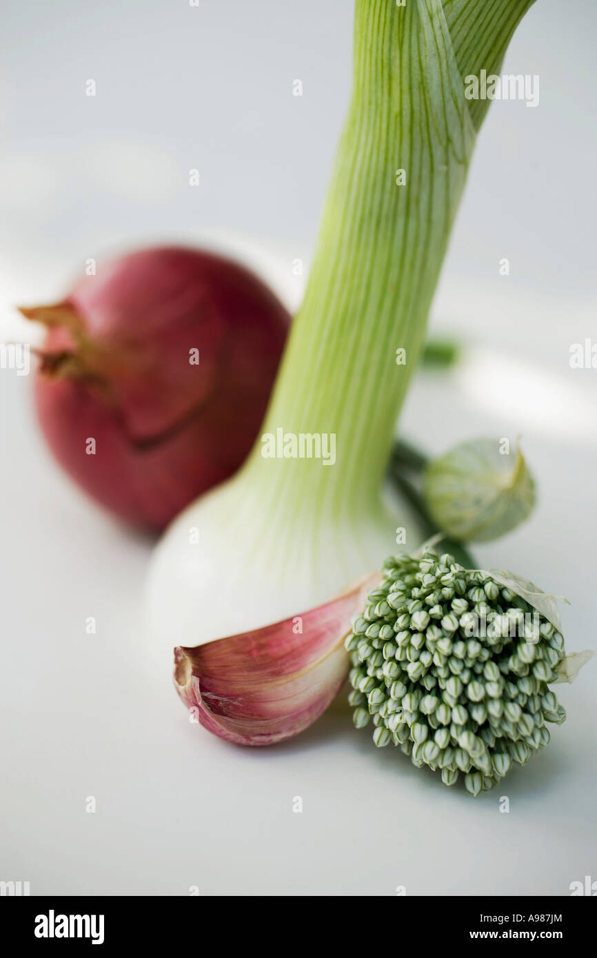Onion garlic garlic chives and spring onion FoodCollection Stock Photo ...