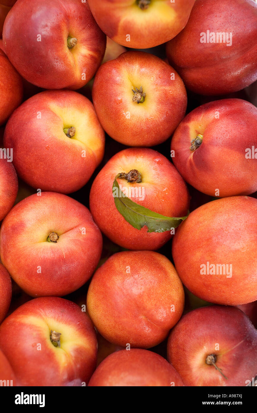 Nectarines full frame FoodCollection Stock Photo - Alamy
