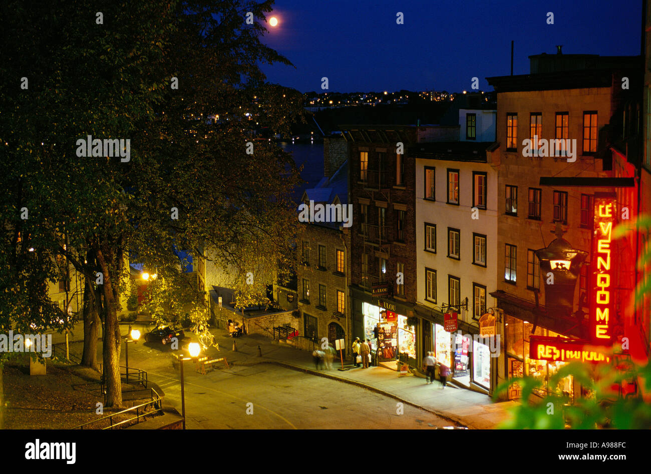 Moon rising through trees hi-res stock photography and images - Alamy