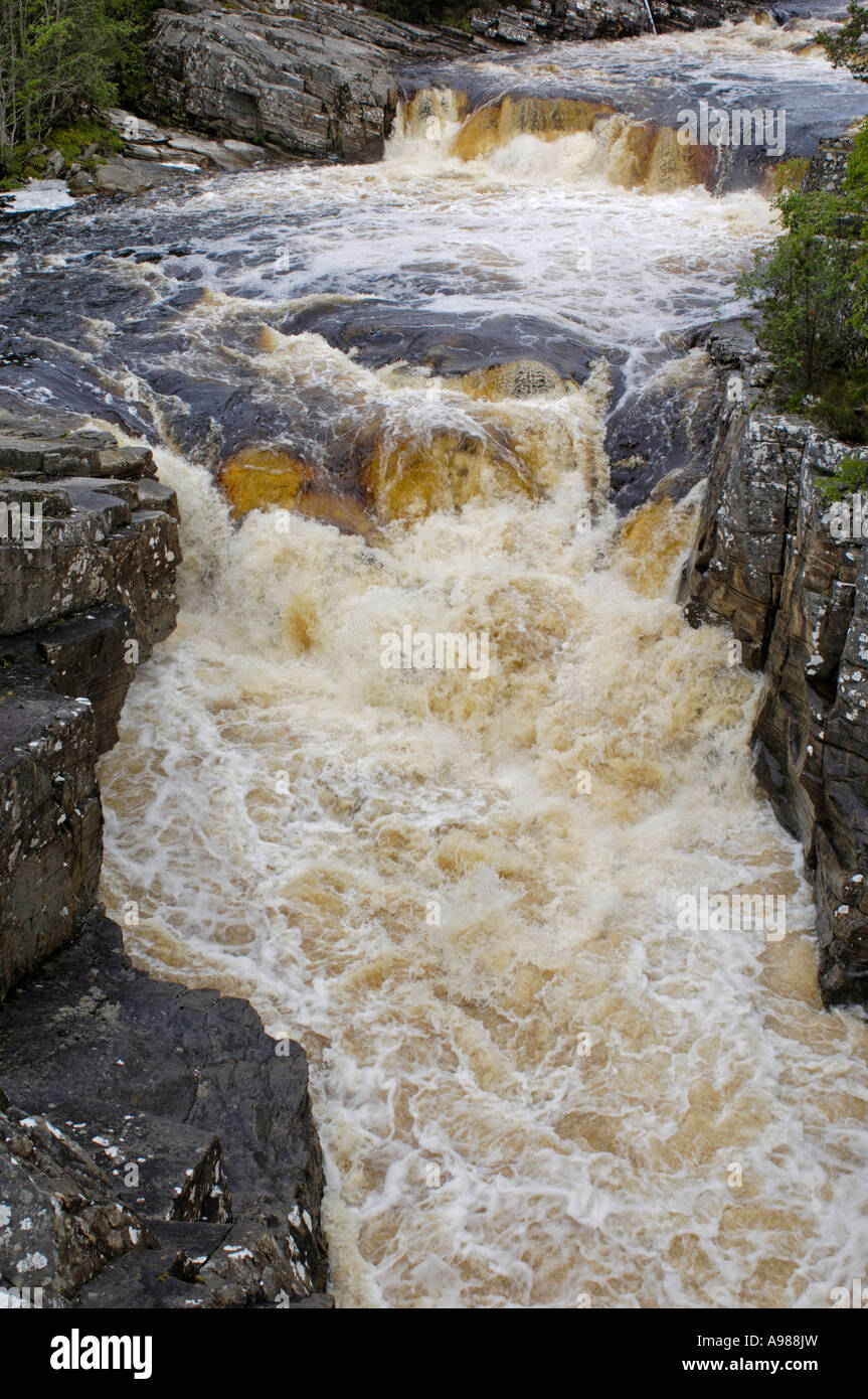 Contin forest hi-res stock photography and images - Alamy