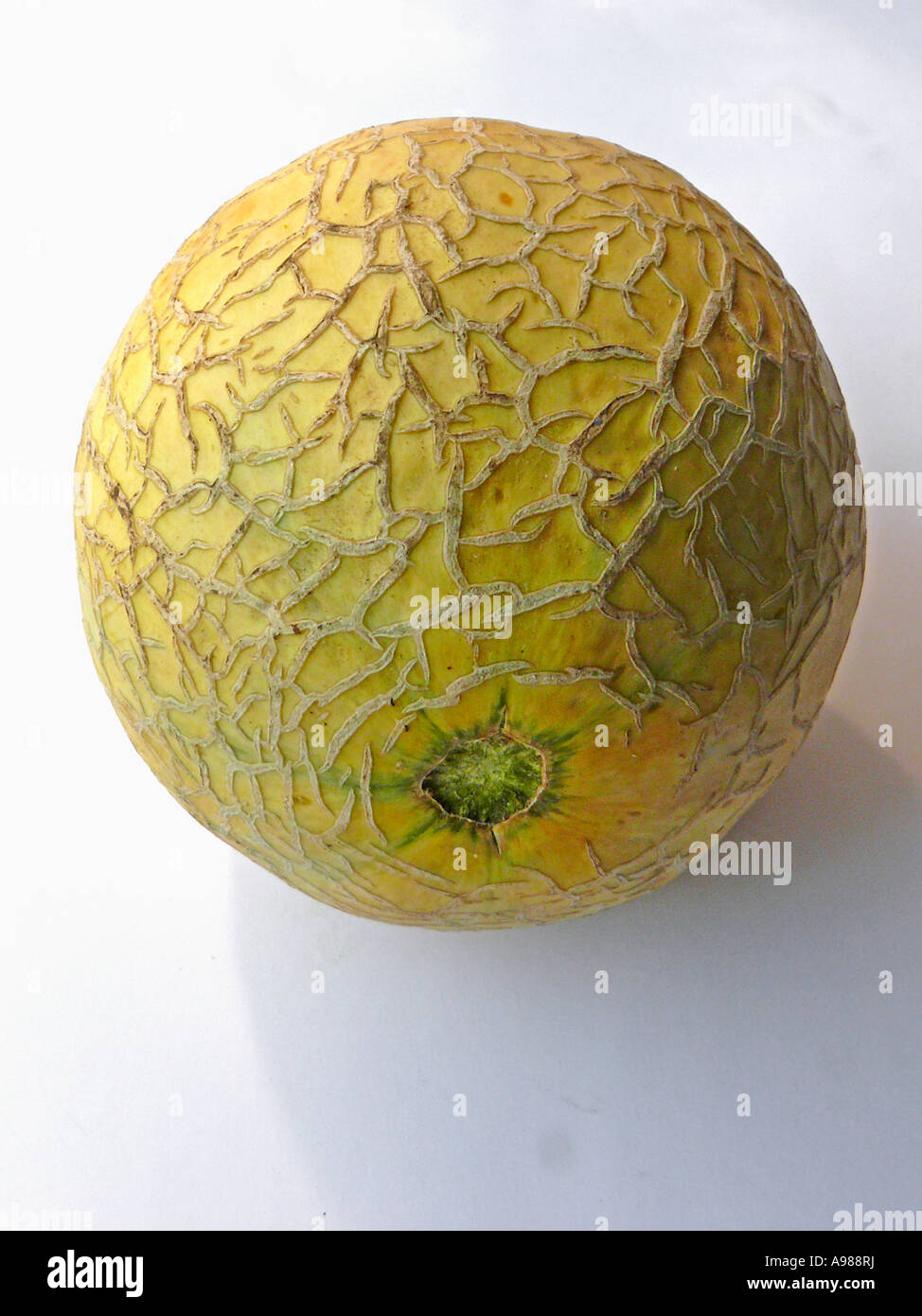 Melon types hi-res stock photography and images - Alamy