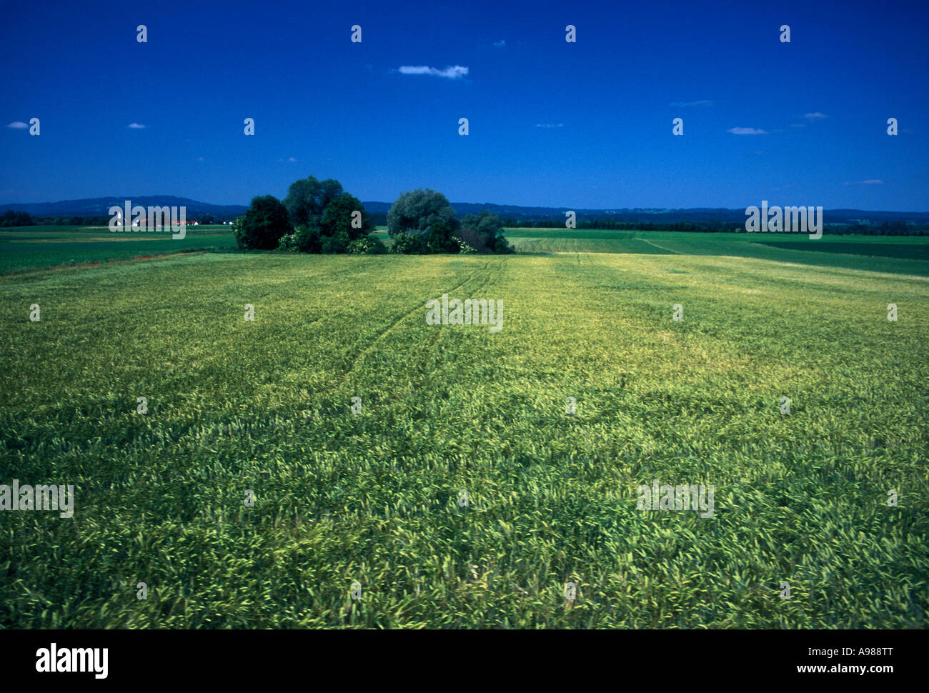 Barley farmstead hi-res stock photography and images - Alamy