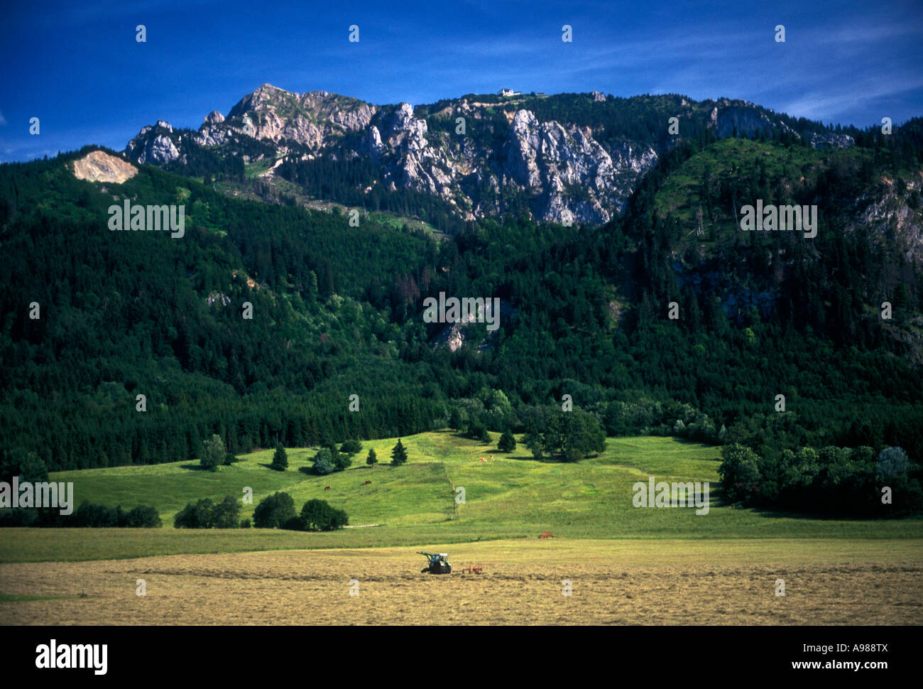 Trauchgau Bavaria Germany Europe Stock Photo - Alamy