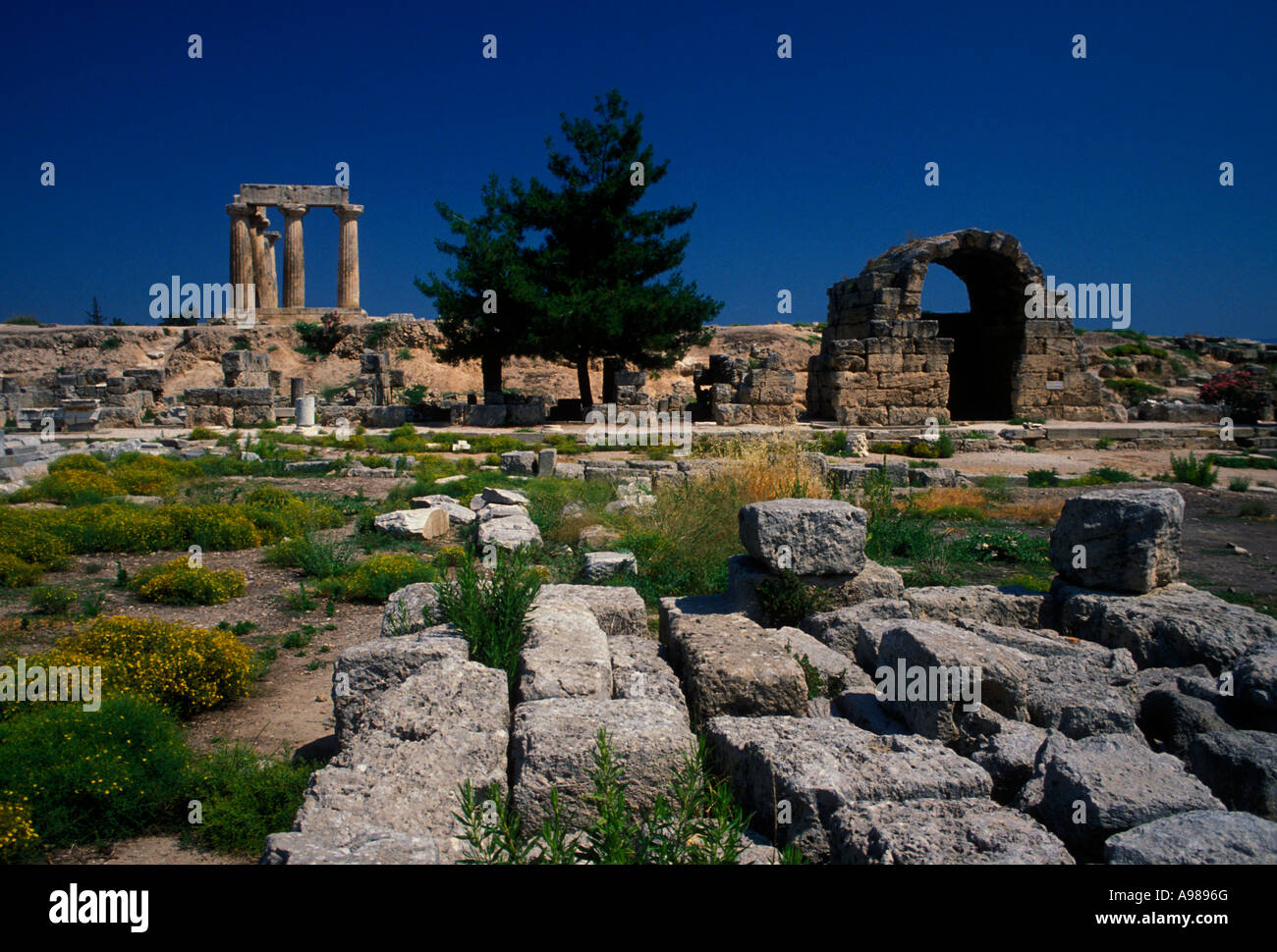 Temple of Apollo, agora, 6th century BC, Corinth, Peloponnese, Greece ...