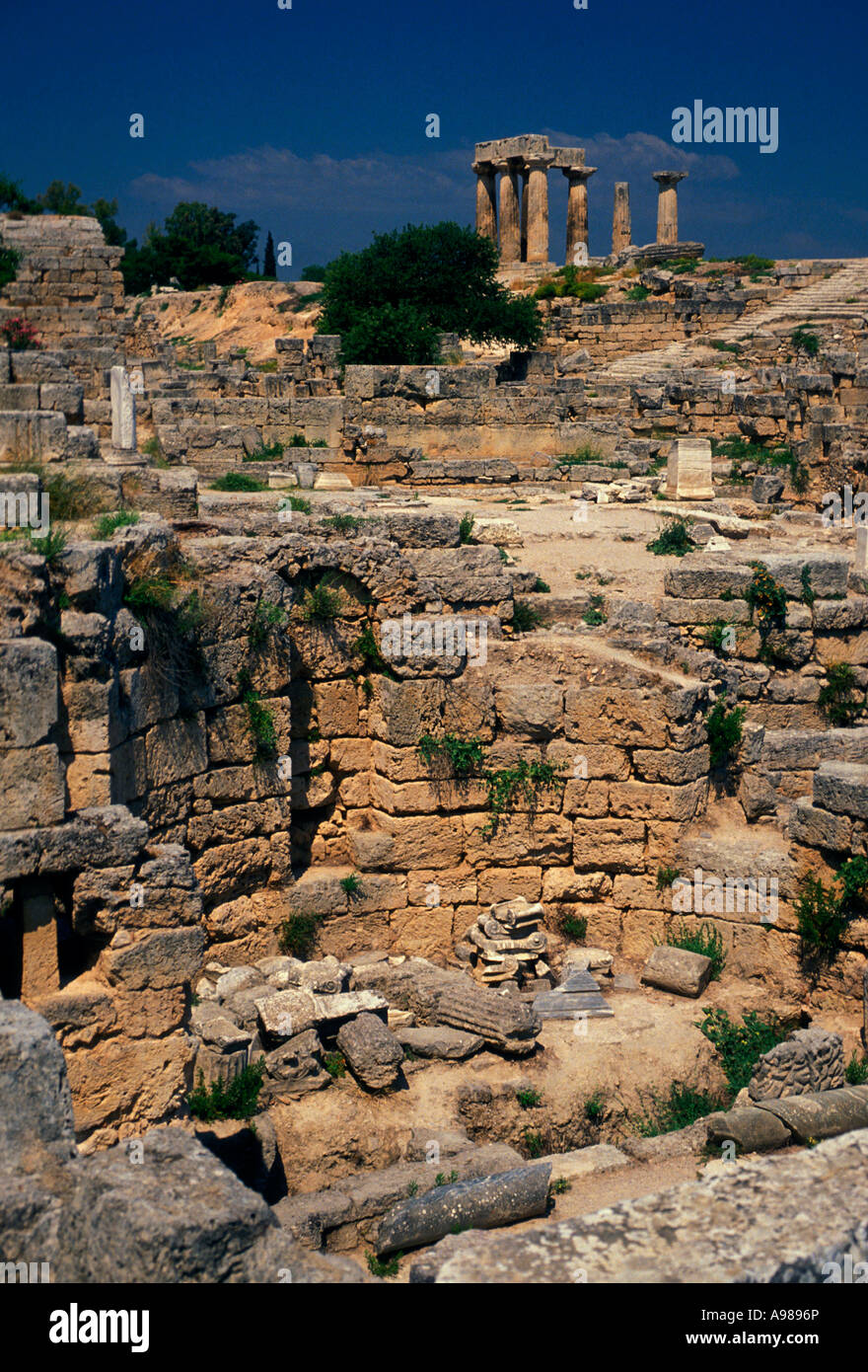 Sacred apollo hi-res stock photography and images - Alamy