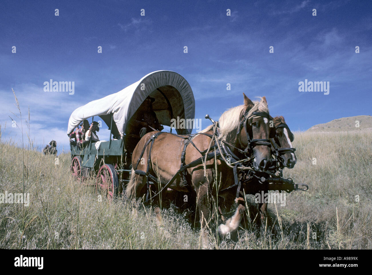 Covered wagon and family hi-res stock photography and images - Alamy