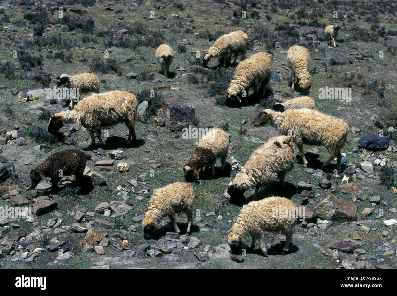 North of kamba la pass hi-res stock photography and images - Alamy