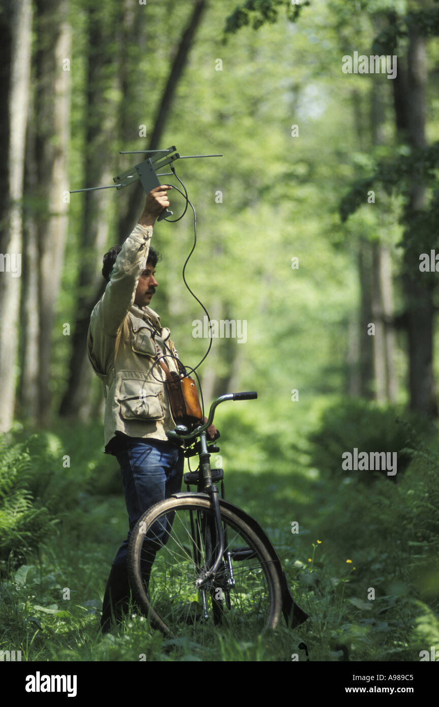 Animal tracking scientist hi-res stock photography and images - Alamy