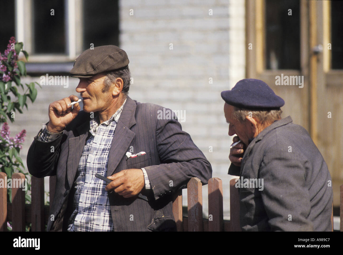 Bialowieza village on the Byelorussia Polish border Stock Photo - Alamy