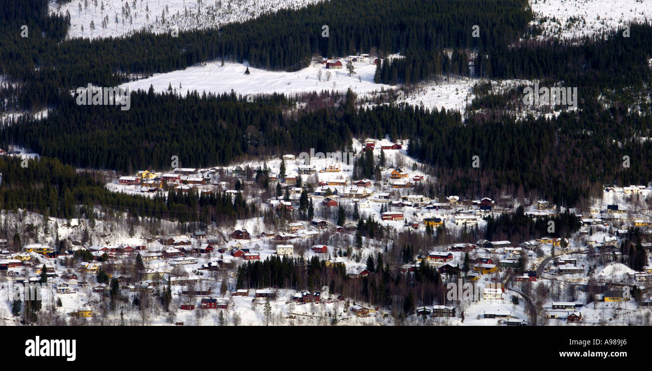 Conferous hi-res stock photography and images - Alamy