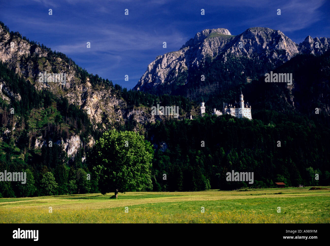 Neo romanesque architectural style hi-res stock photography and images ...