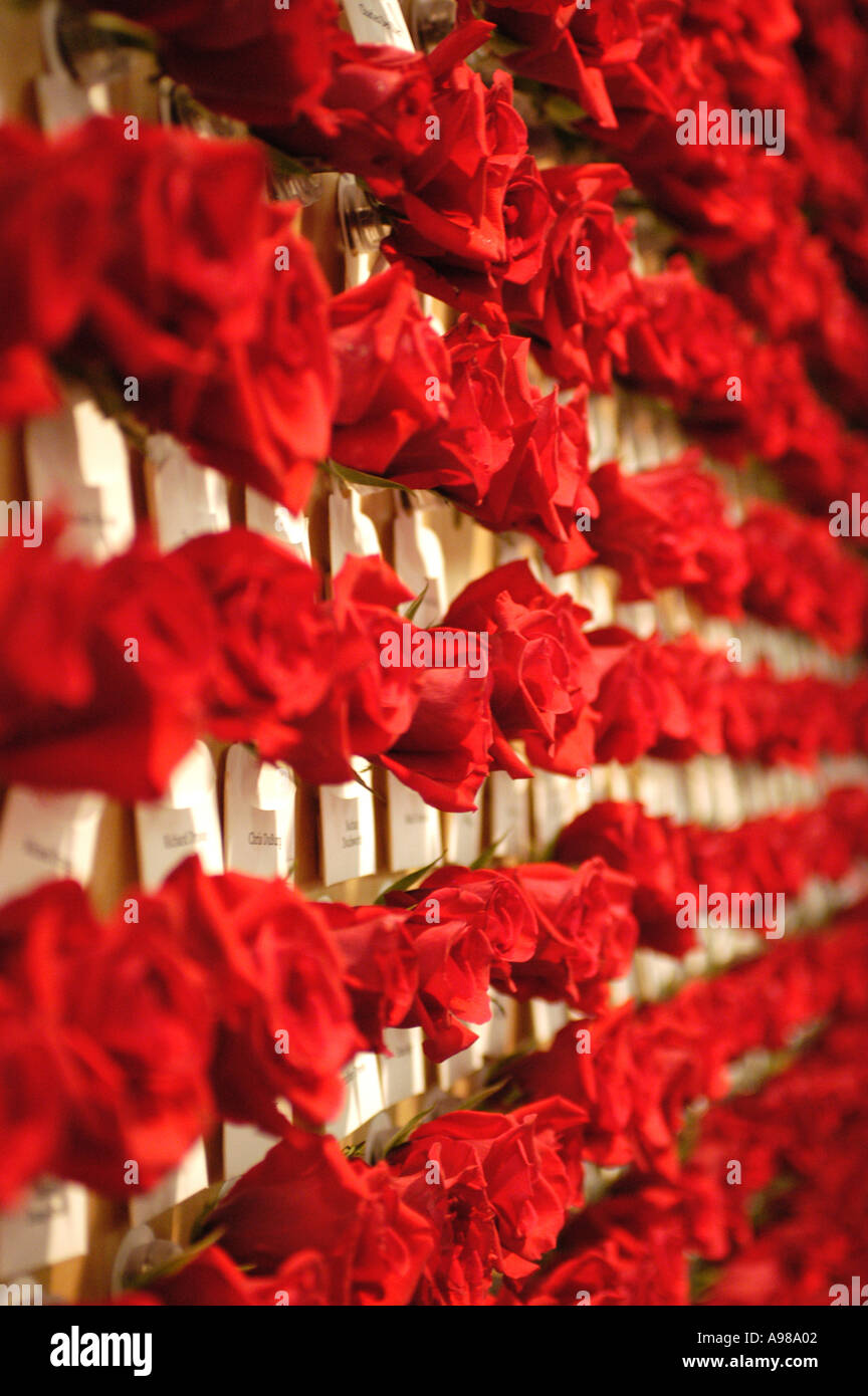 Wall of Roses Stock Photo - Alamy
