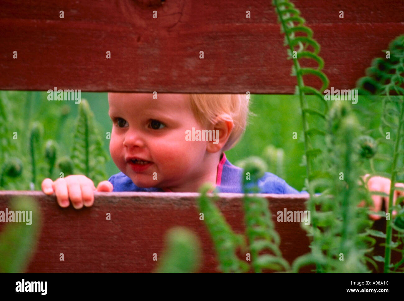 Boy girl fence country hi-res stock photography and images - Alamy