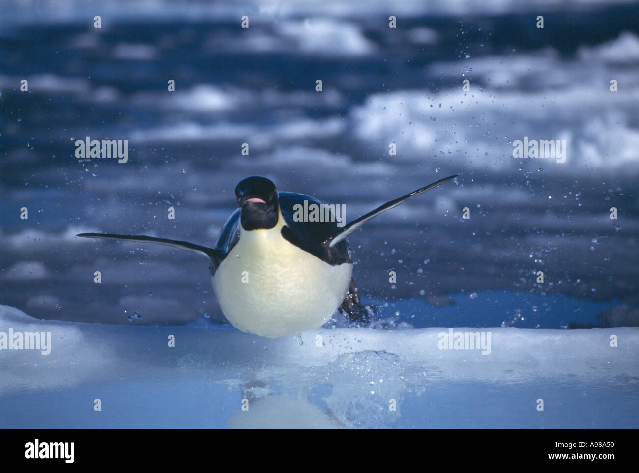Ice runway, antarctica hi-res stock photography and images - Alamy