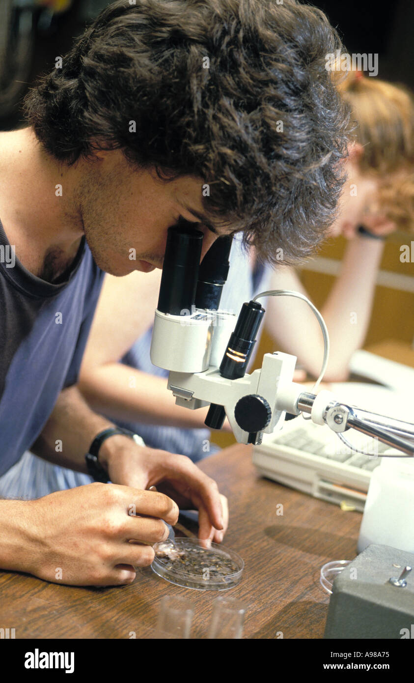 Petrie dish microscope hi-res stock photography and images - Alamy