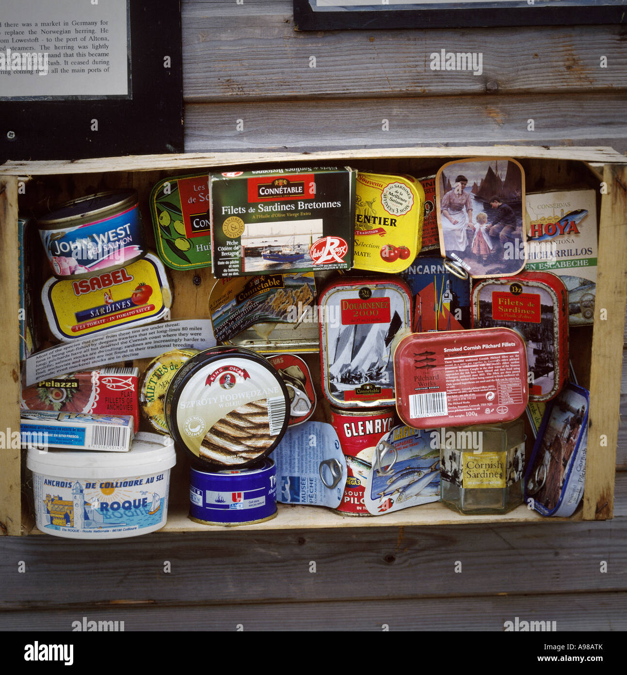 a display of tinned fish tins Stock Photo - Alamy