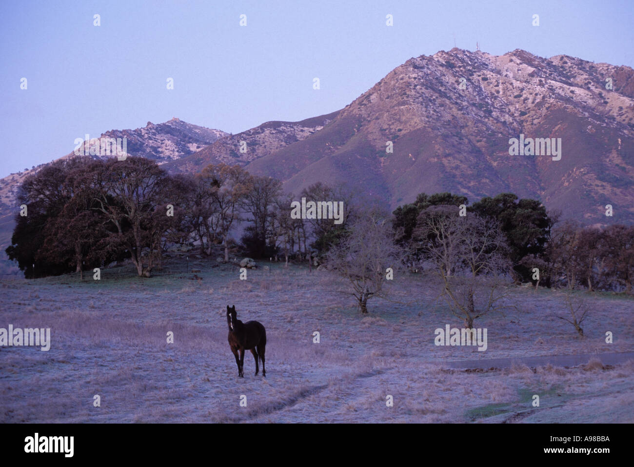 California, Contra Costa, Mt Diablo from Marsh Creek Road Stock Photo ...