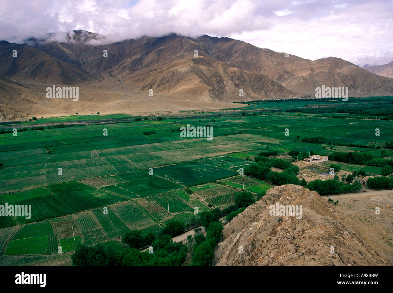 agriculture, agricultural fields, crop, crops, cropland, Yarlung Valley ...