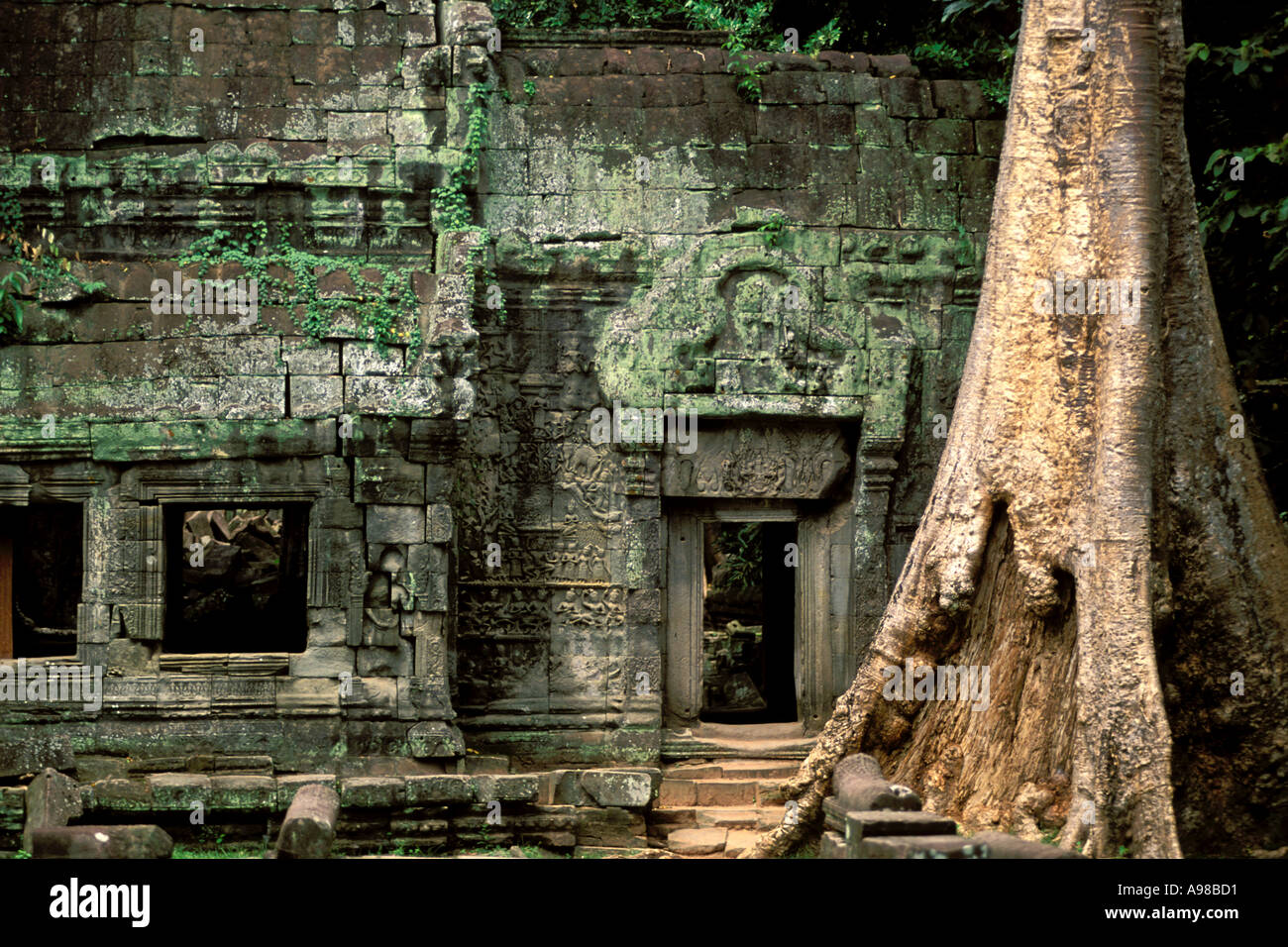 Cambodia, Angkor Wat, Ta Prohm Stock Photo - Alamy