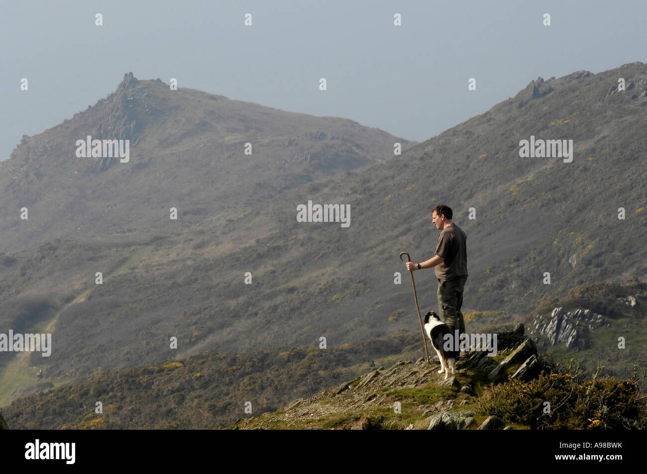Shepherd David Kennard walks out over rocky ground with sheepdog to ...