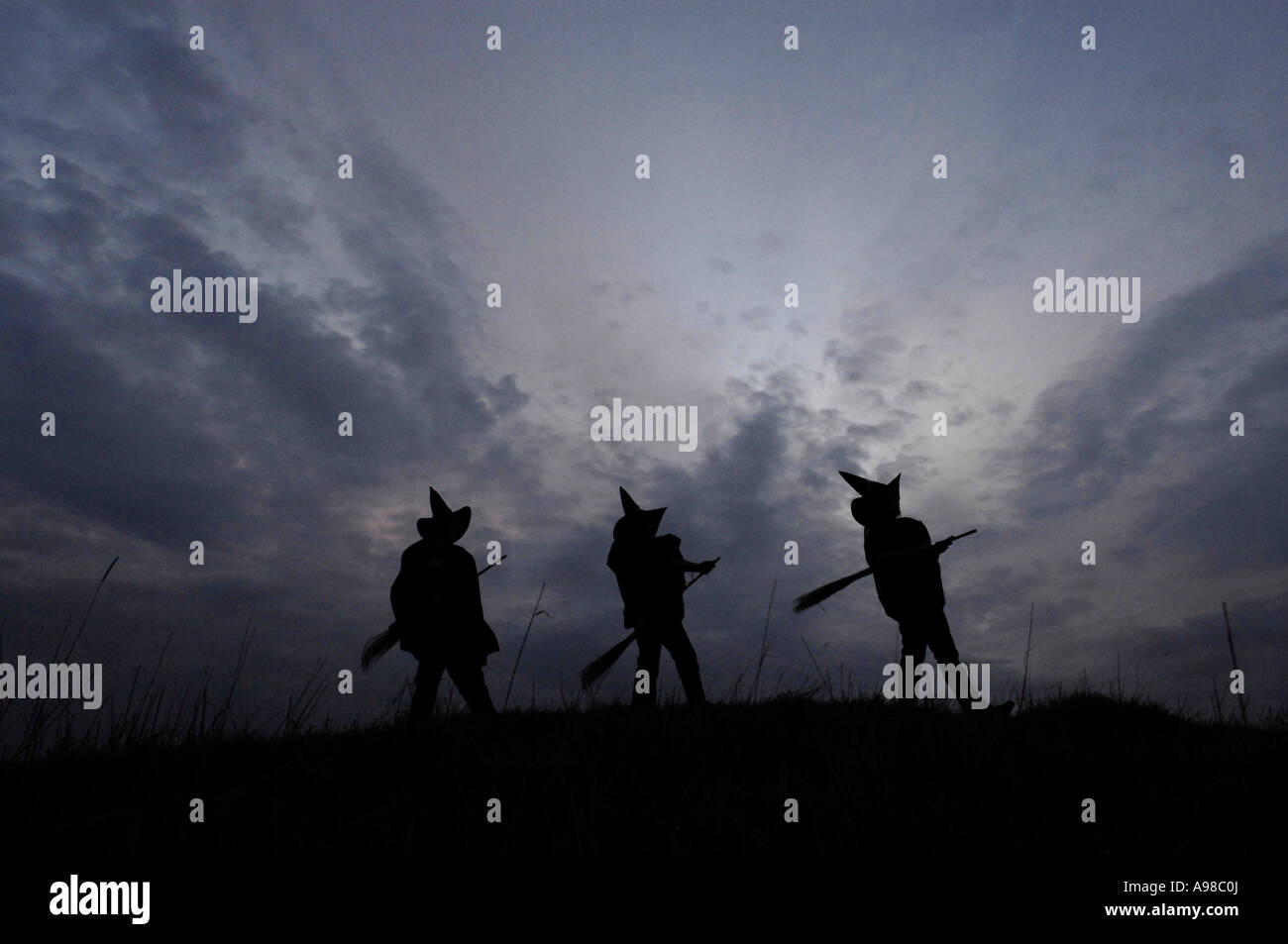 Halloween revellers celebrate the Pagan new year and Celtic festival of ...