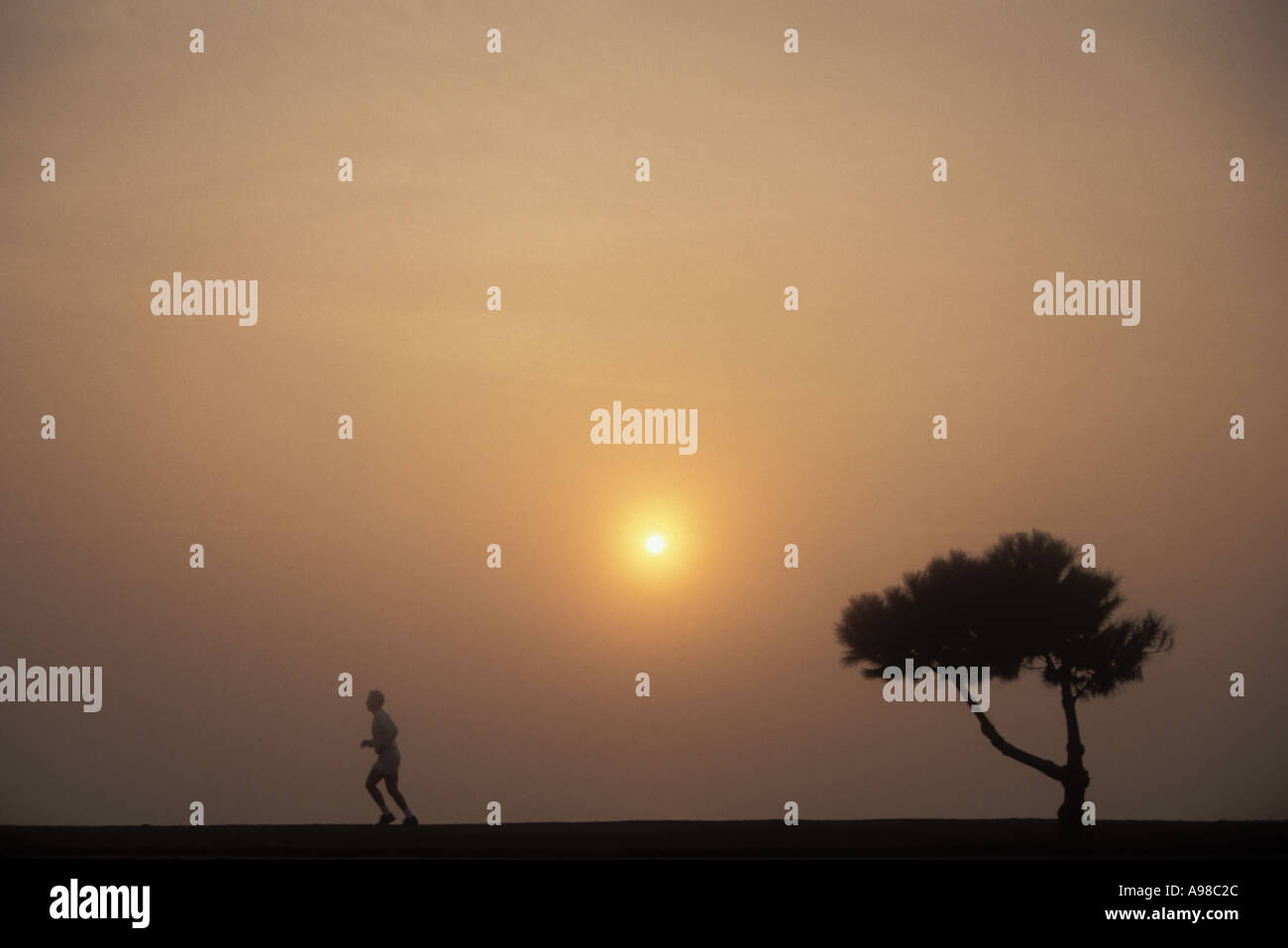 Fast limber hi-res stock photography and images - Alamy