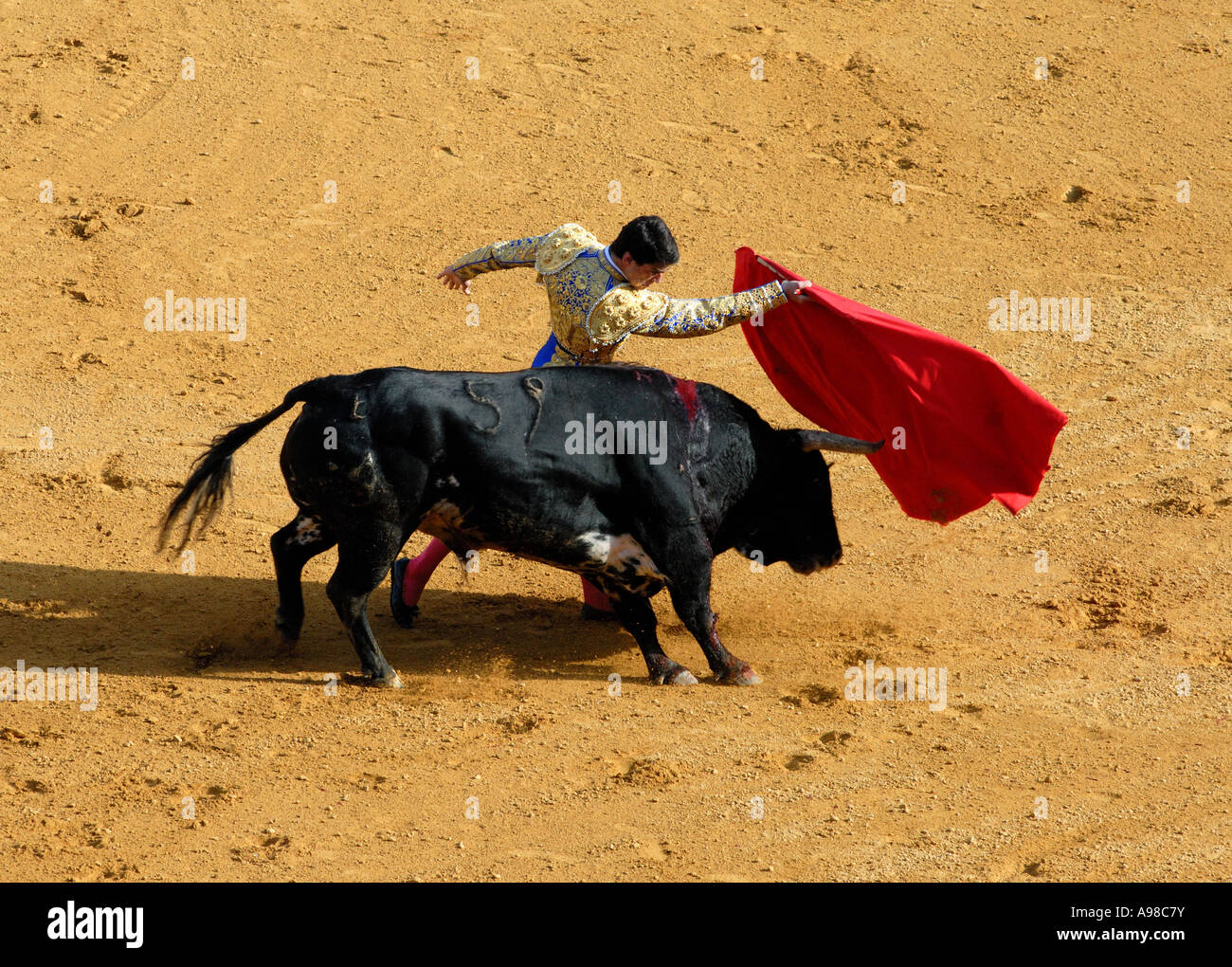 Red rag bull hi-res stock photography and images - Alamy