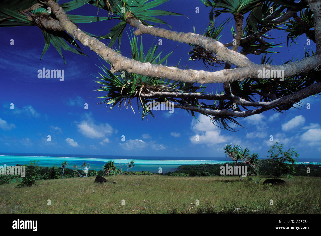 Palau, Babeldaob, Ngarchelong beach Stock Photo - Alamy