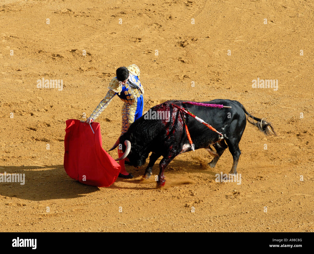 Red rag bull hi-res stock photography and images - Alamy