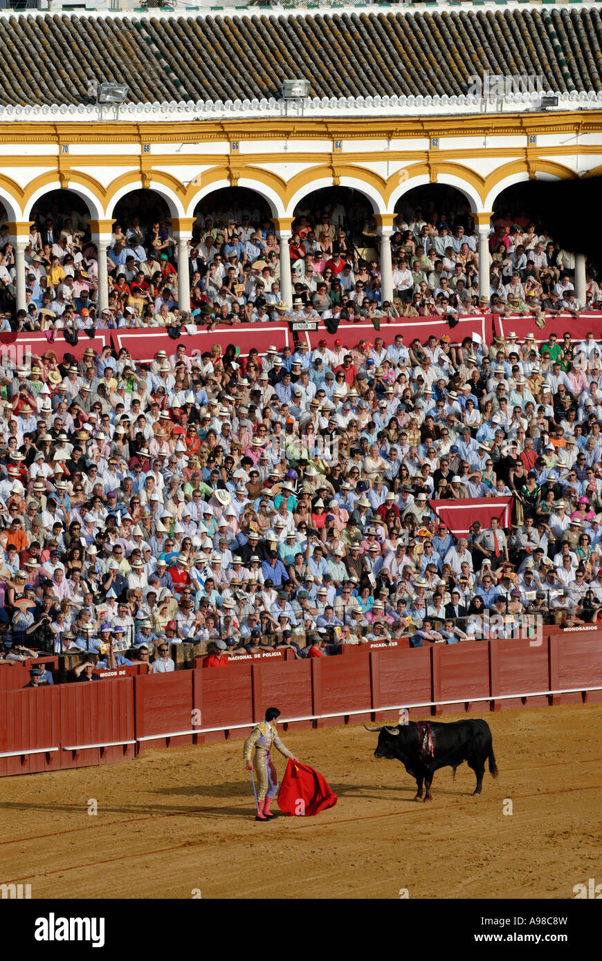 Bullfight in Seville Stock Photo - Alamy