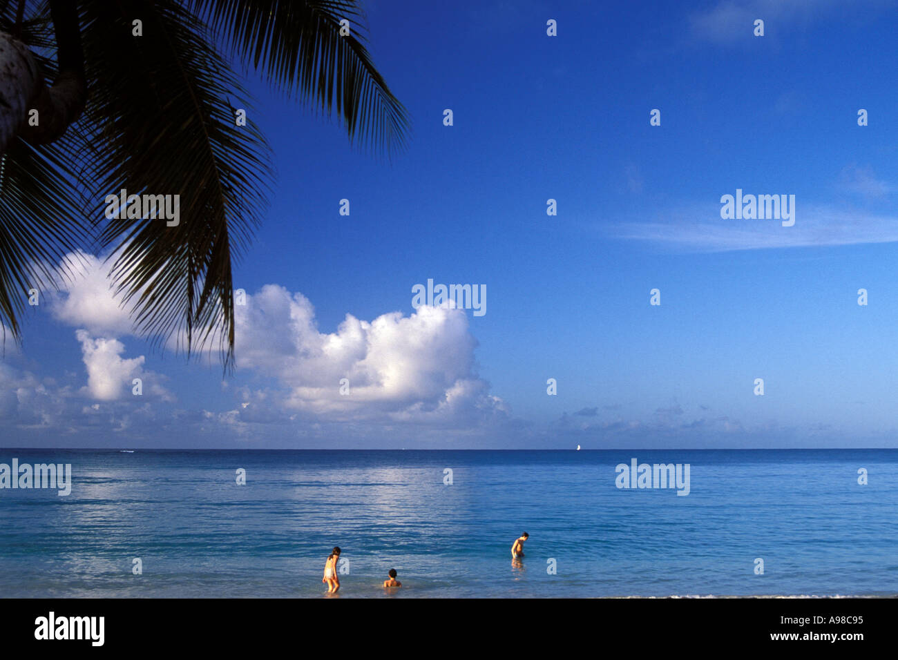 Martinique, Cap Chevalier, Beach Stock Photo - Alamy