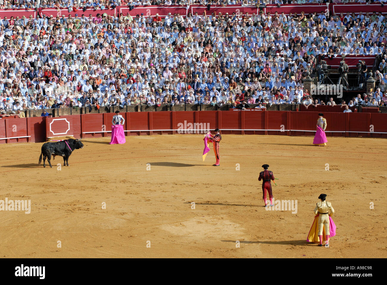 Start of bullfight hi-res stock photography and images - Alamy