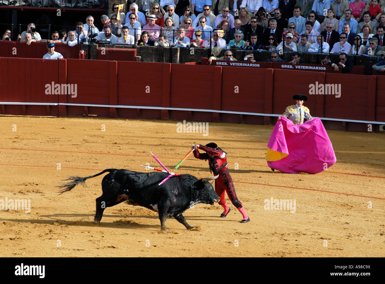 Bullfight in Seville Stock Photo - Alamy